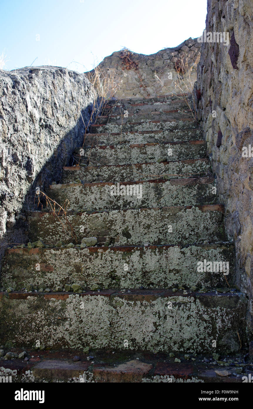 Antique archaeology hi-res stock photography and images - Alamy