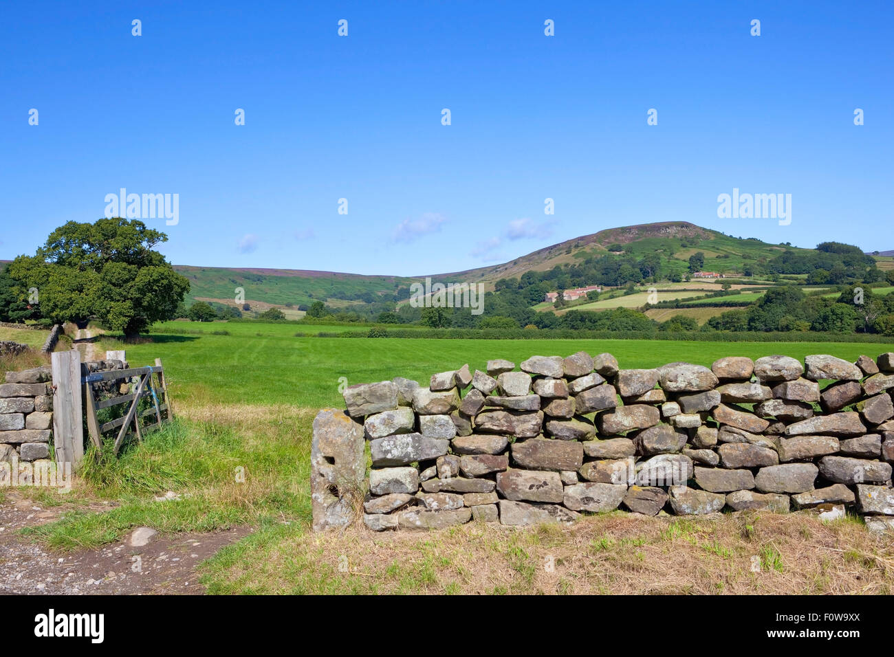 Rudland Rigg viewed over a traditional dry stone wall in Farndale ...