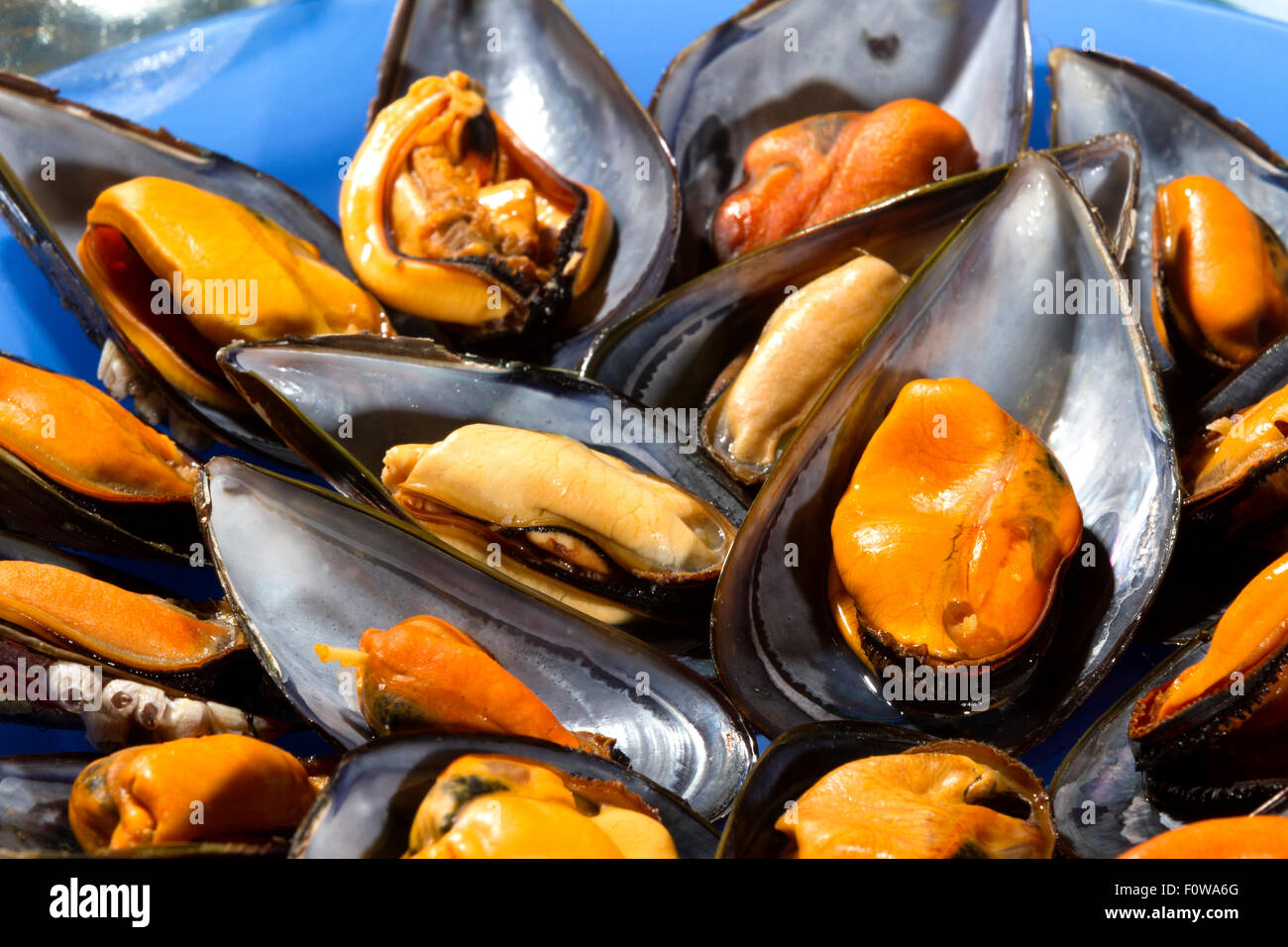 Mussels steamed just for eating in a blue dish Stock Photo - Alamy
