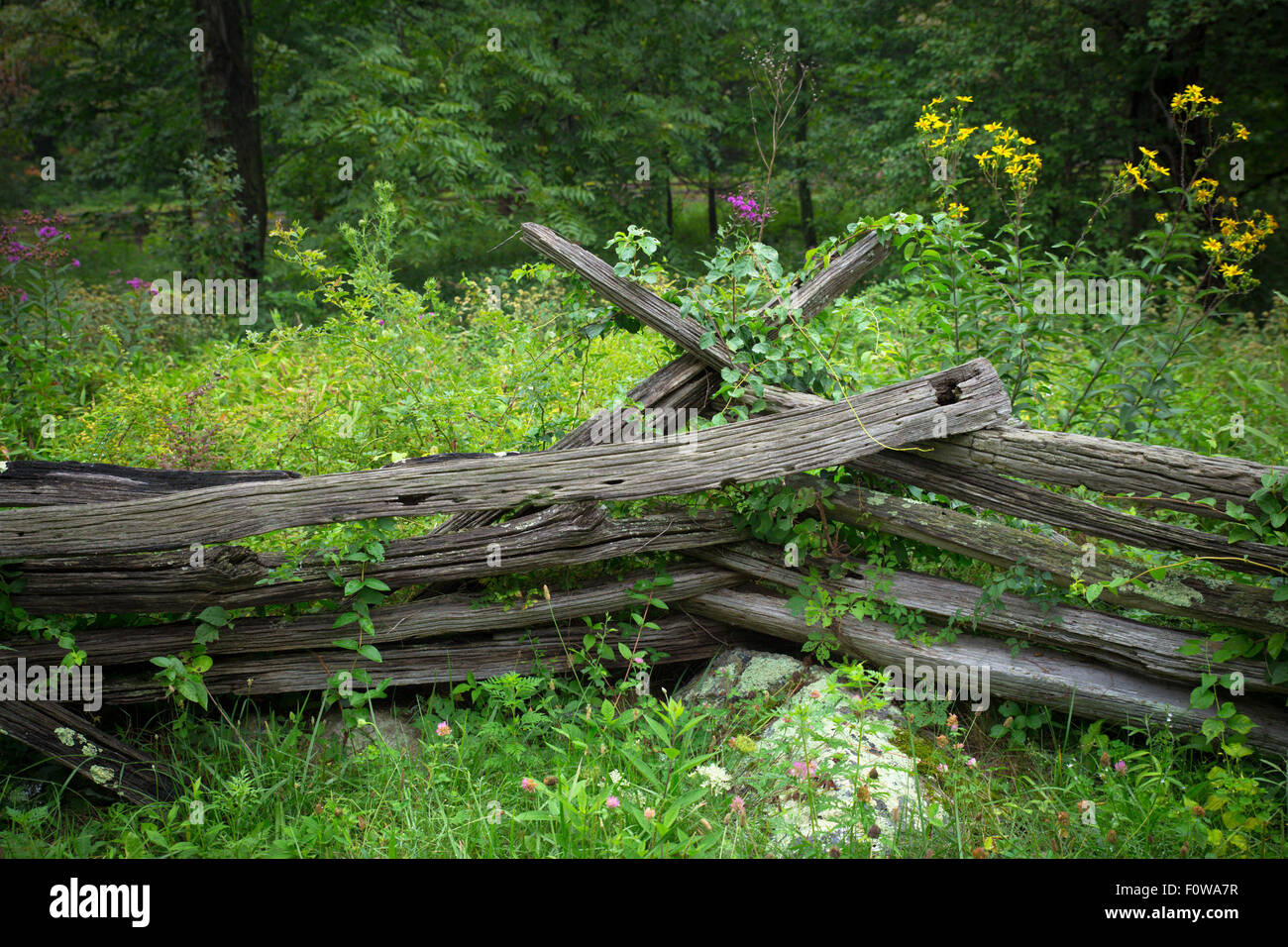 Rustic wood fence hi-res stock photography and images - Alamy