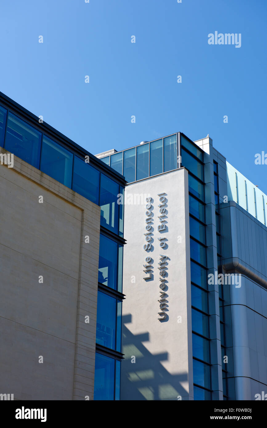 University of Bristol new Life Sciences building Stock Photo - Alamy
