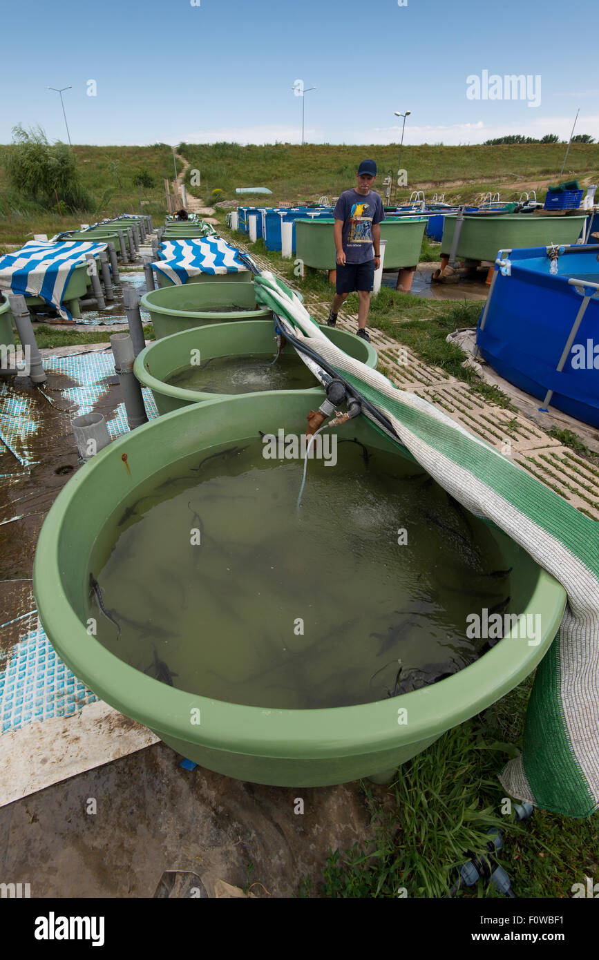 Fish farming village hi-res stock photography and images - Alamy
