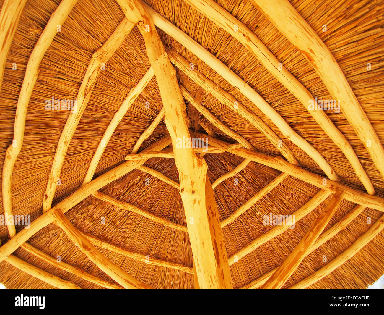 Reed roof texture hi-res stock photography and images - Alamy