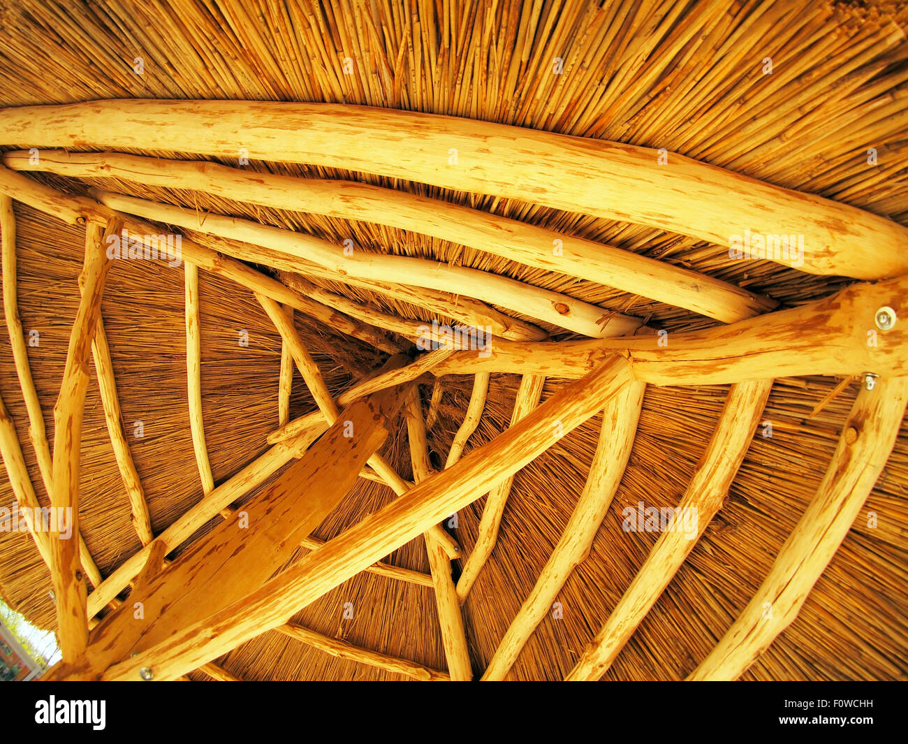 Beautiful tropical view cane hi-res stock photography and images - Alamy