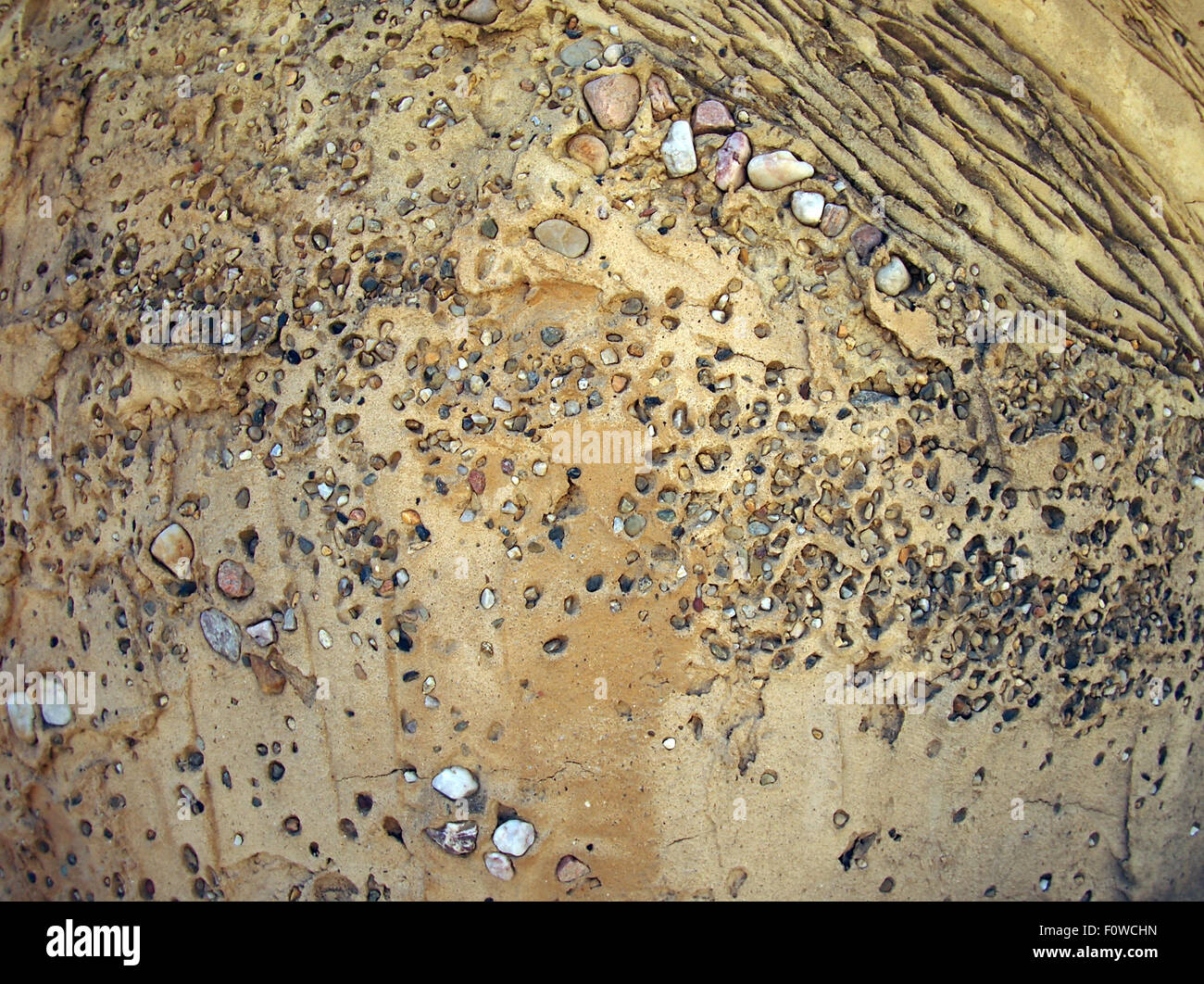 Smooth surface interspersed hi-res stock photography and images - Alamy