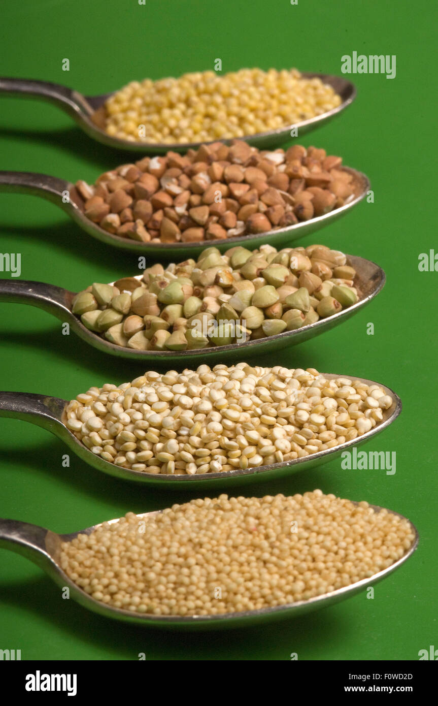 A selection of edible grains including,top to bottom,millet,roast ...
