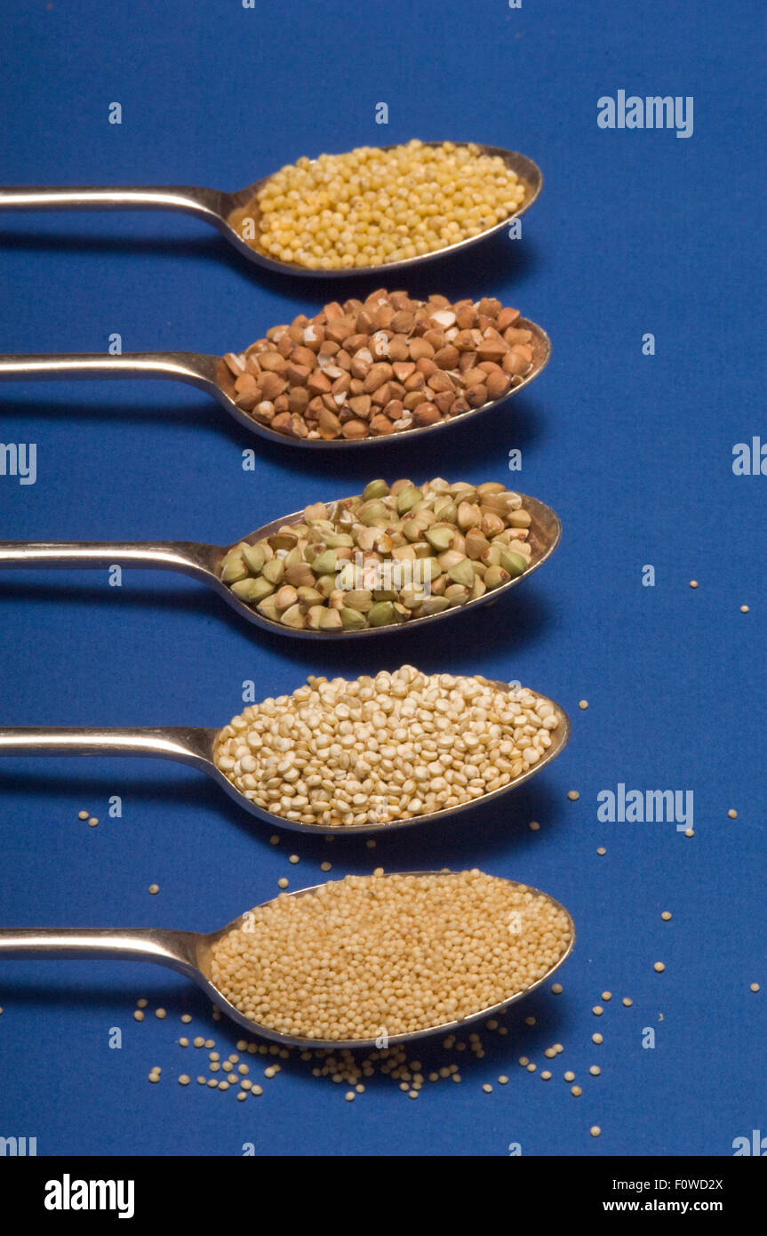 A selection of edible grains including,top to bottom,millet,roast ...