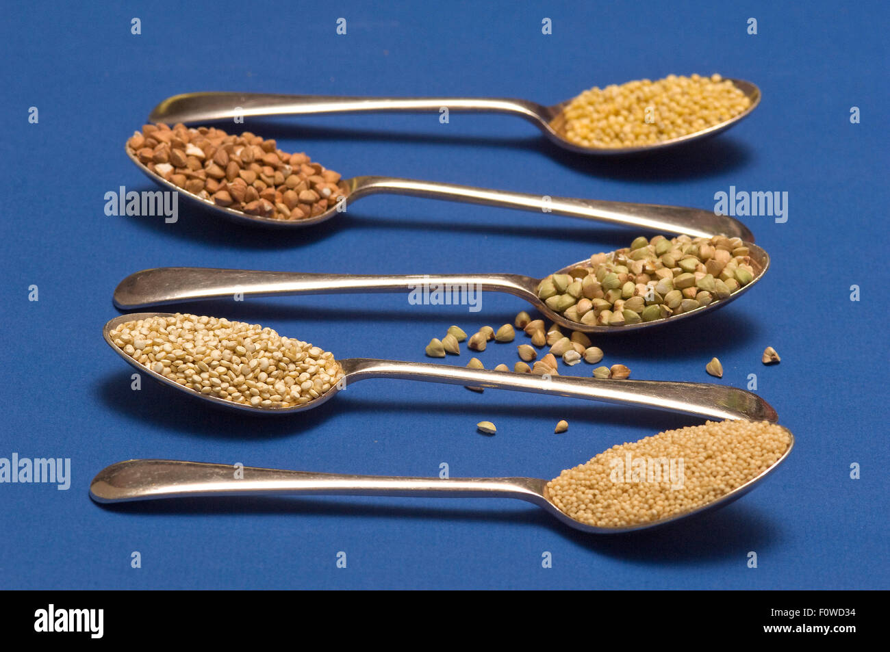 A selection of edible grains including,top to bottom,millet,roast ...
