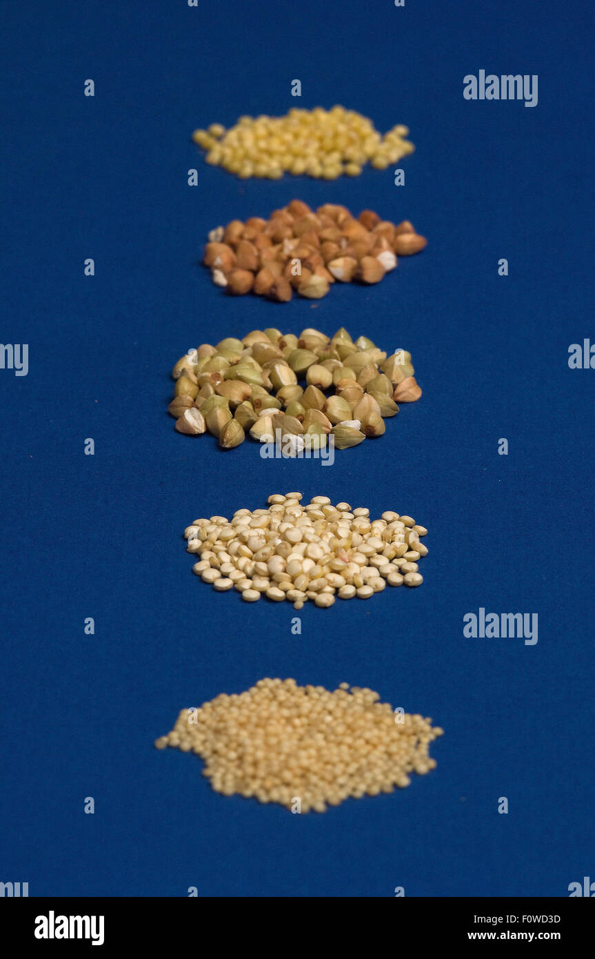 A selection of edible grains including,top to bottom,millet,roast ...