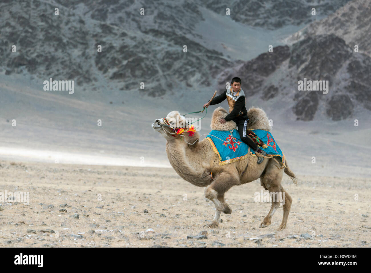 Kazakh leader hi-res stock photography and images - Alamy