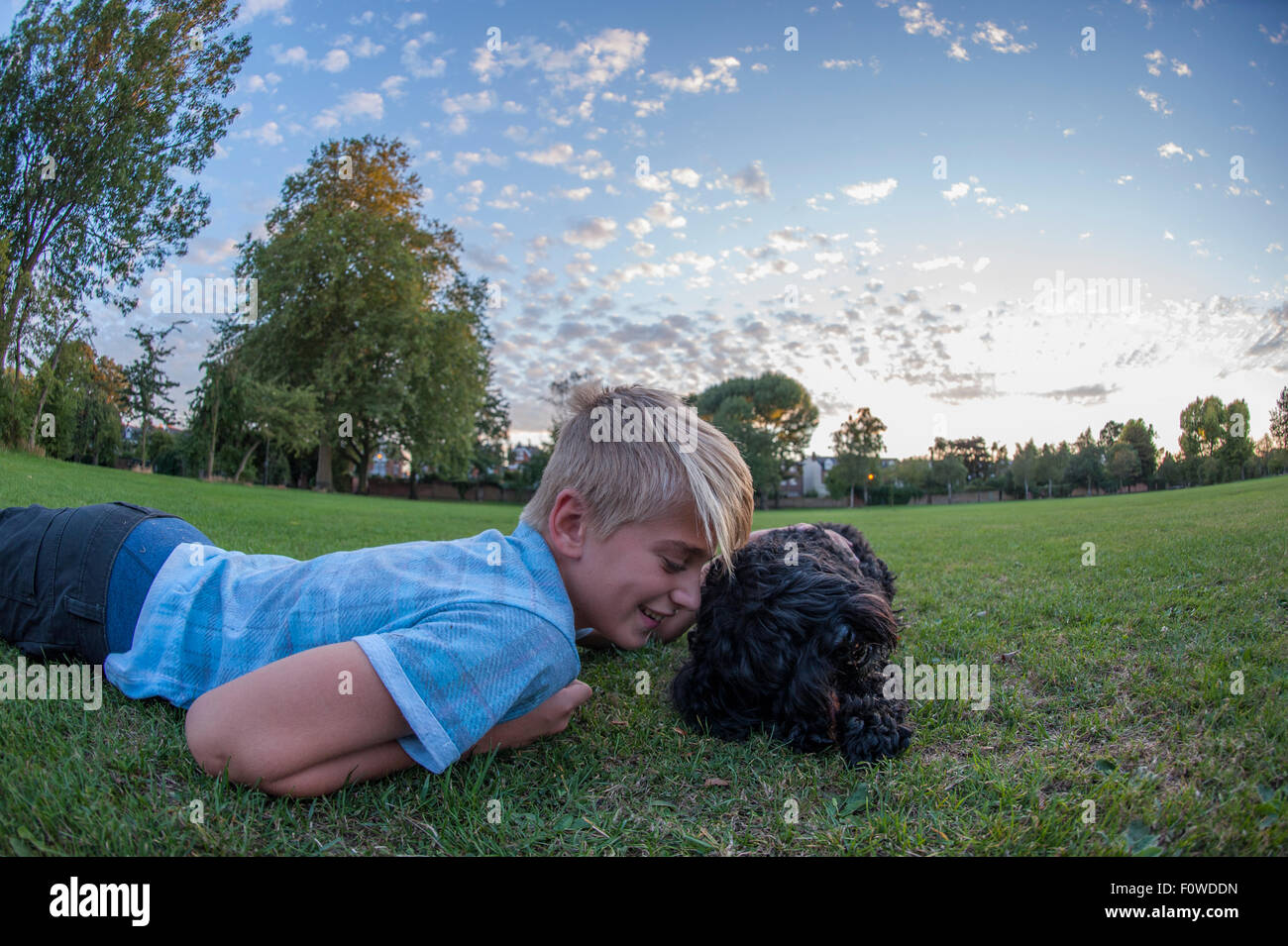 A young boy nuzzles against his small pet black dog Stock Photo - Alamy