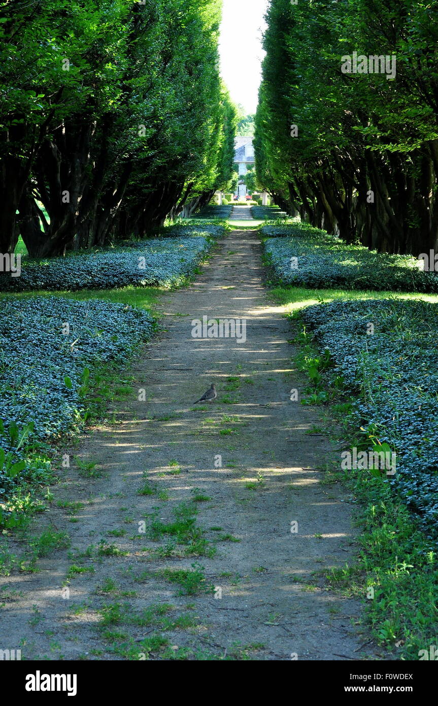 Long Garden Path Stock Photo - Alamy
