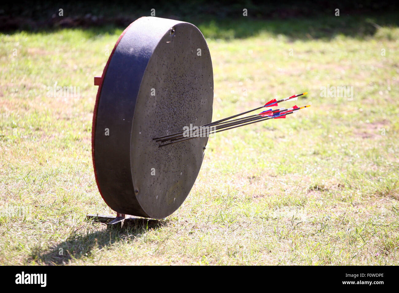 Historical medieval archery target on a warrior show Stock Photo - Alamy
