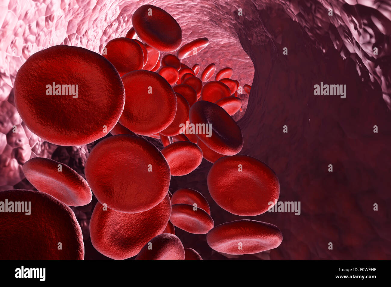 3d render red blood cells - science and medical concept Stock Photo - Alamy