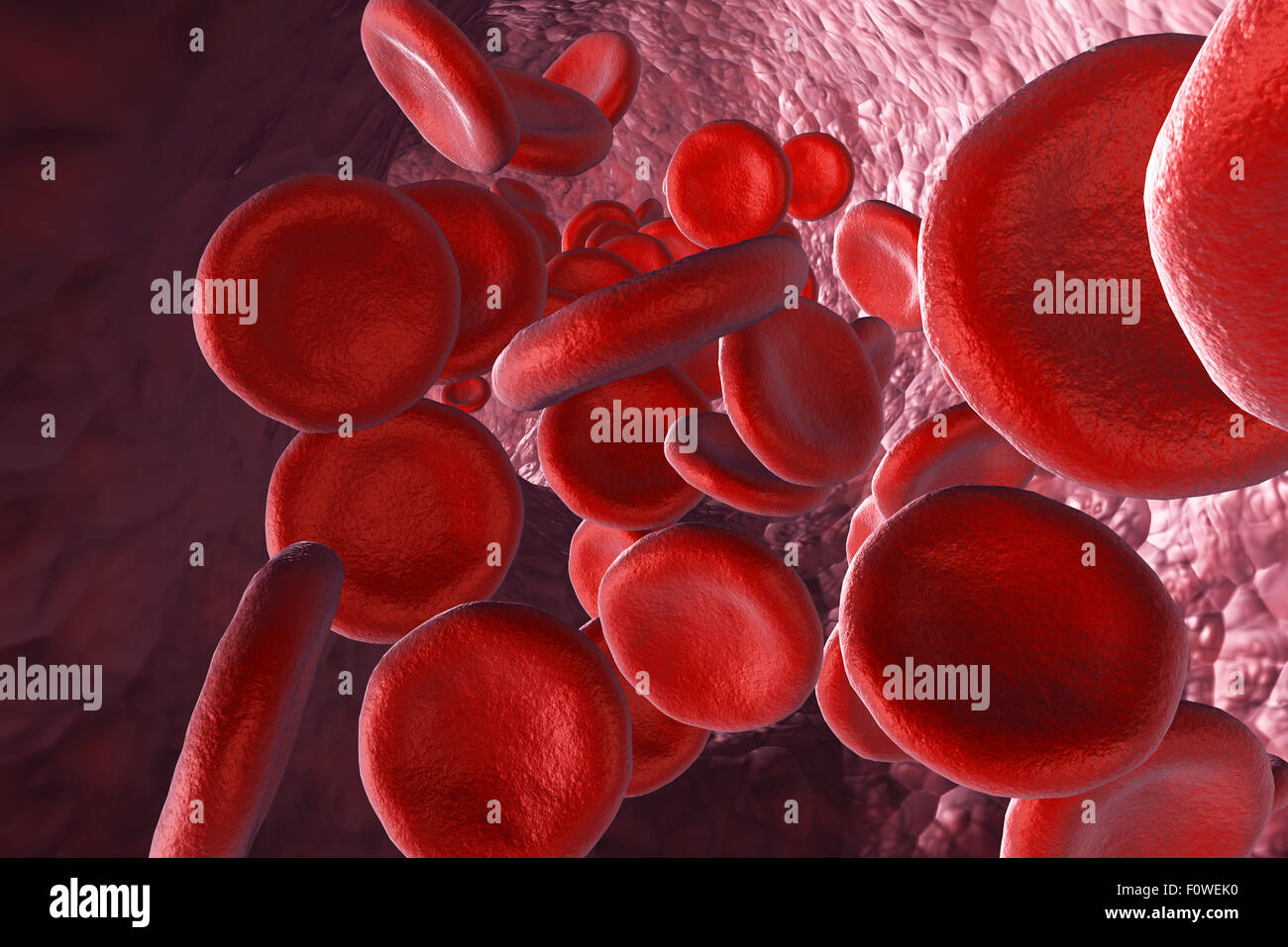 3d render red blood cells - science and medical concept Stock Photo - Alamy
