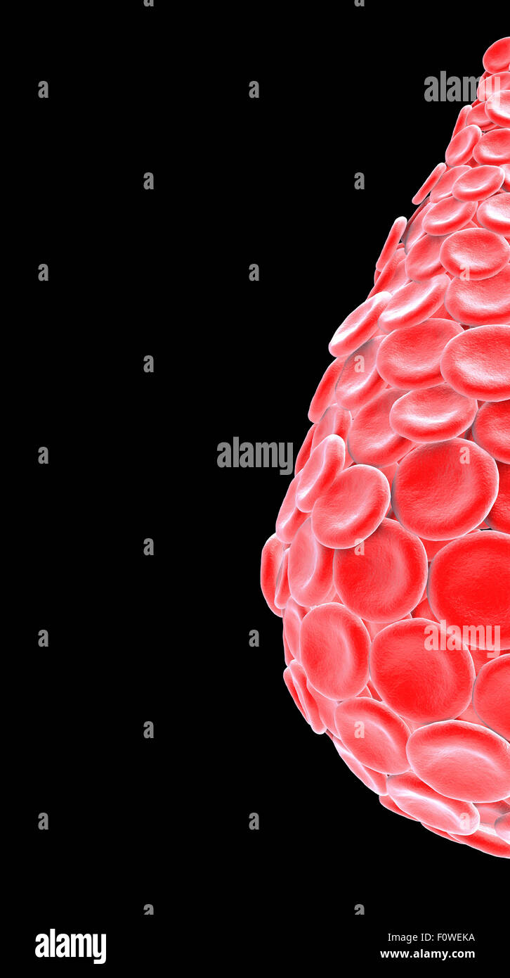 3d render red blood cells - science and medical concept Stock Photo - Alamy