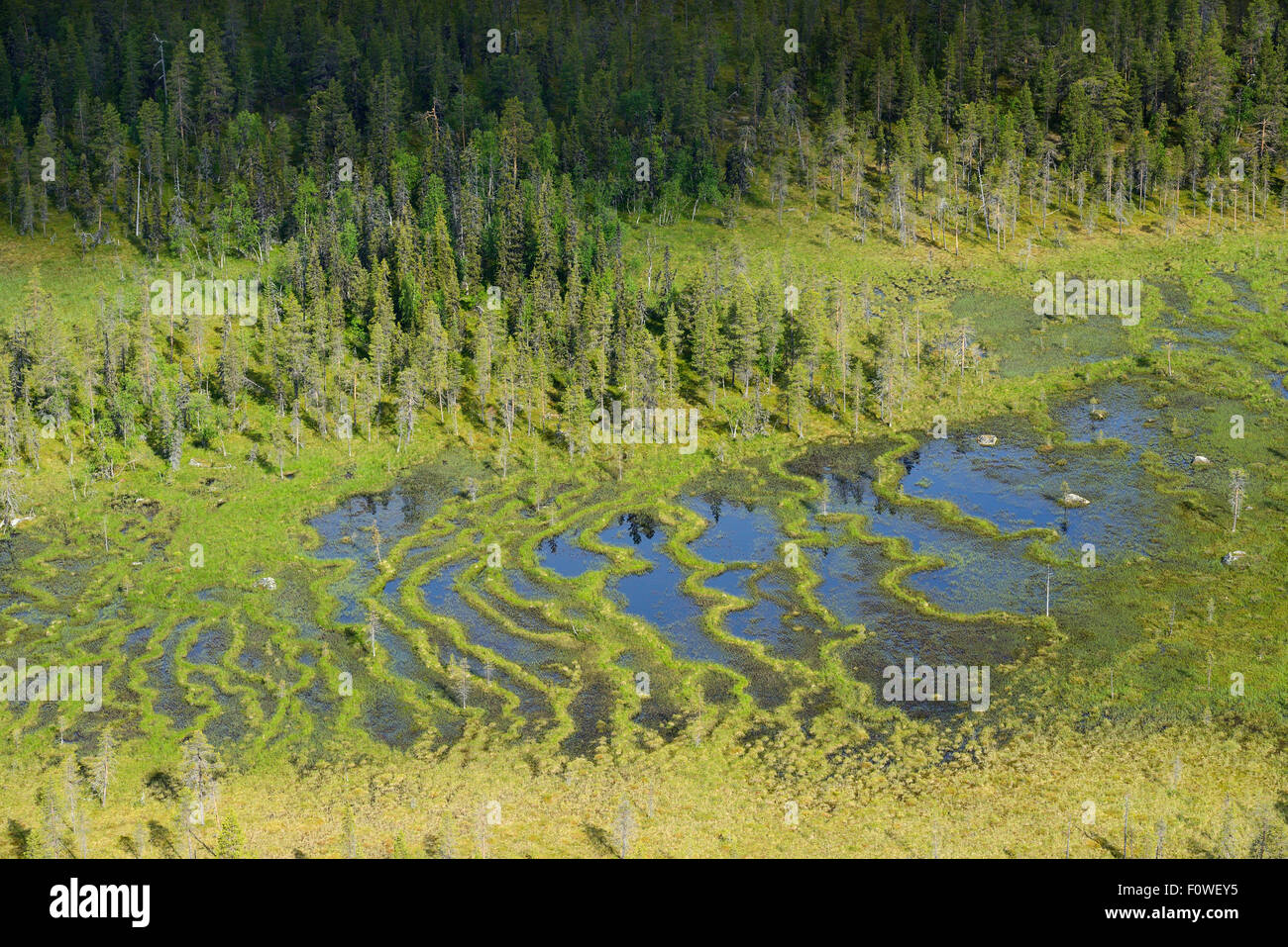 Aerial view peat bogs taiga hi-res stock photography and images - Alamy