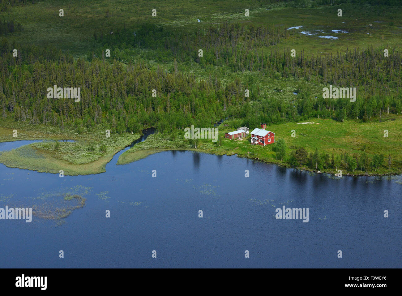 Aerial view of house near lake surrounded by peat bogs and taiga boreal ...