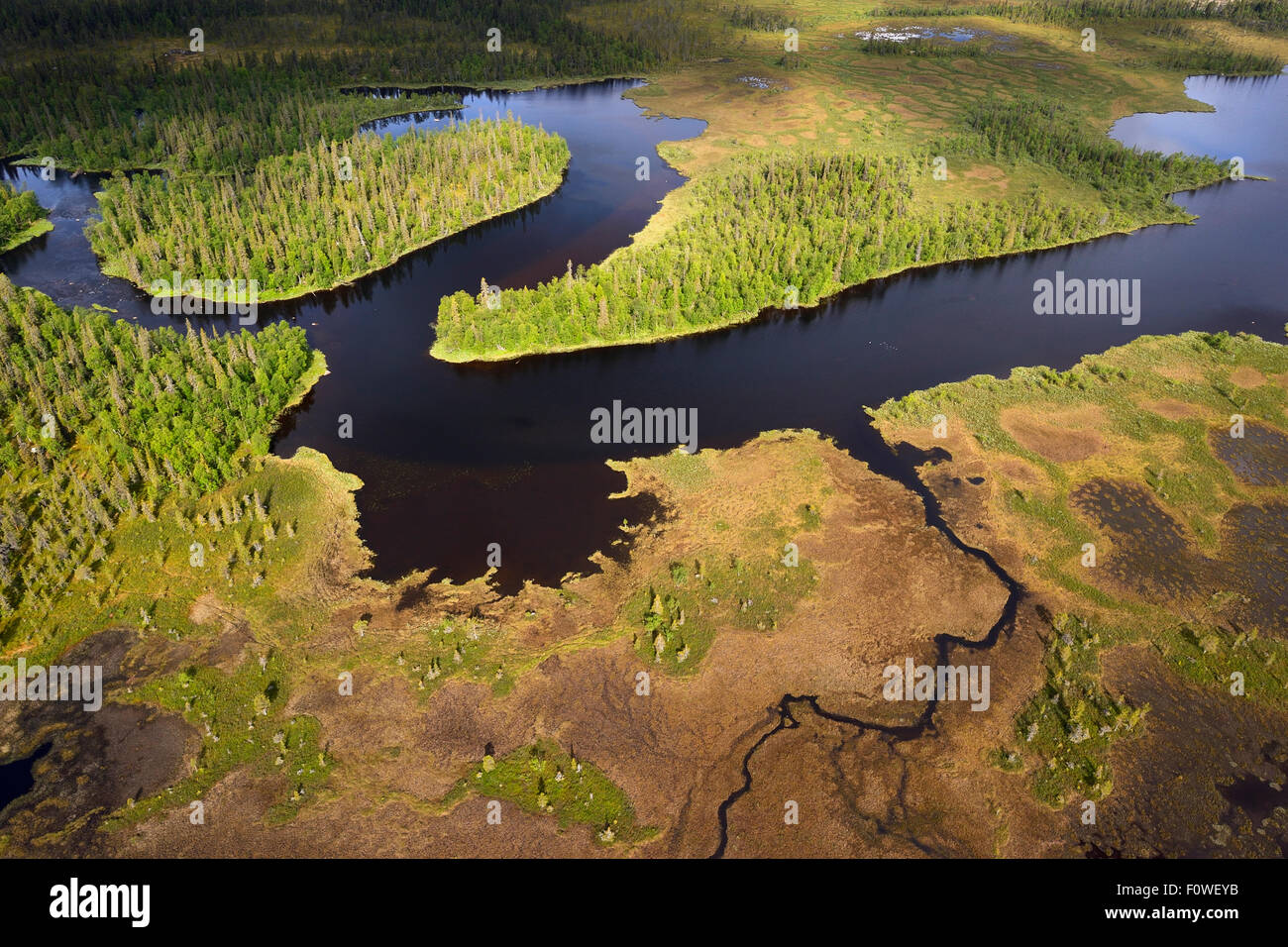Aerial view of river flowing though peat bogs and taiga boreal forest ...