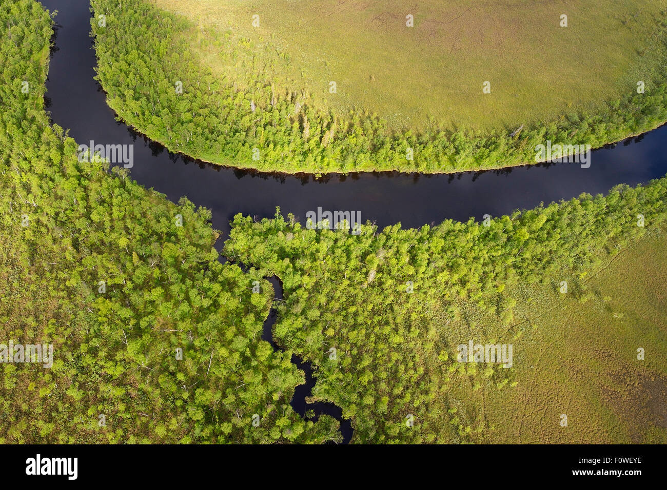 Aerial view of river flowing though peat bogs and taiga boreal forest ...