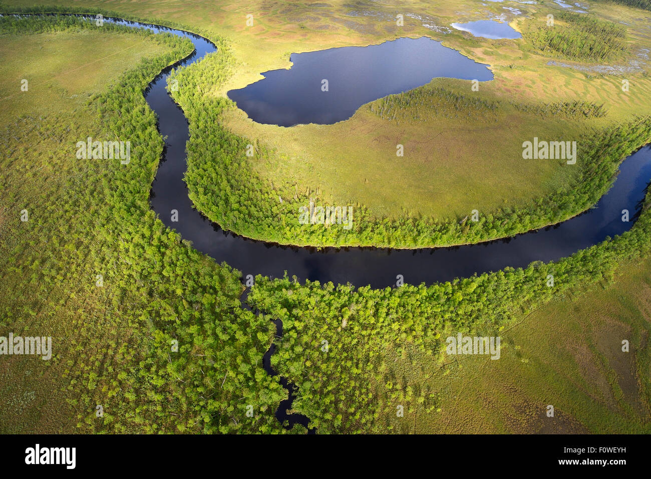 Aerial view of river flowing through peat bogs and taiga boreal forest ...