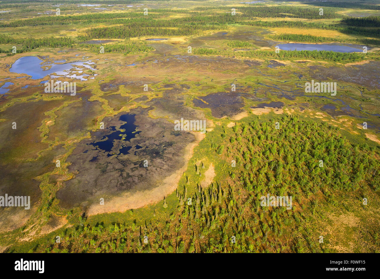 Aerial view of peat bogs and taiga, Sjaunja Bird Protection Area ...
