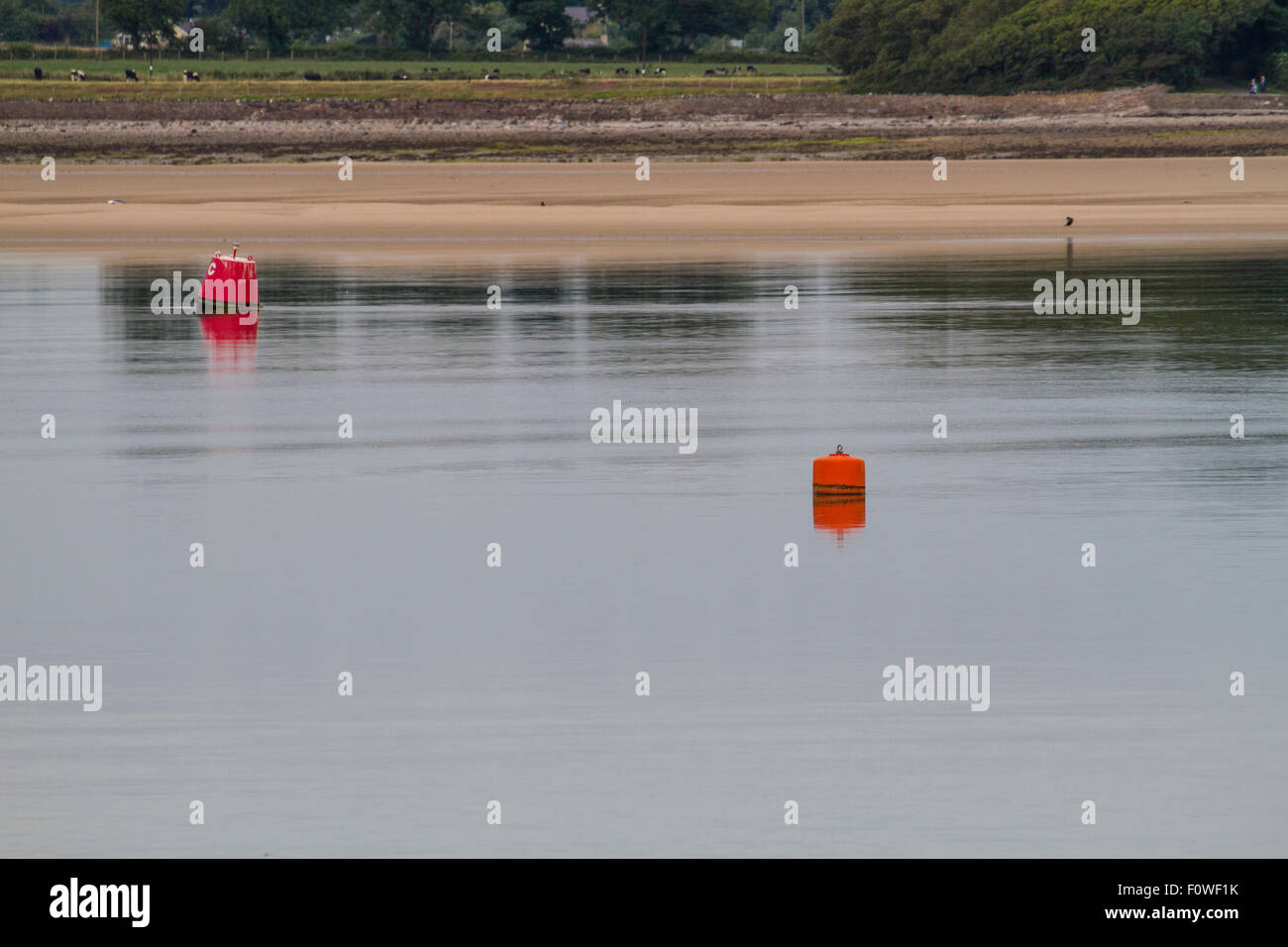 red buoys on calm sea water at beach side Stock Photo - Alamy