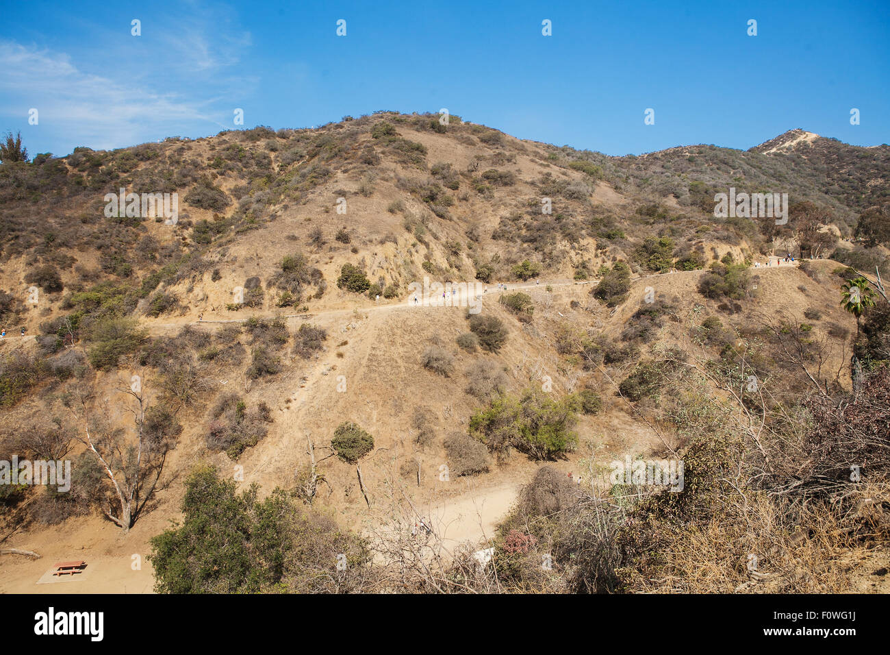 View of natural in mountains, Los Angeles runyon canyon park ...