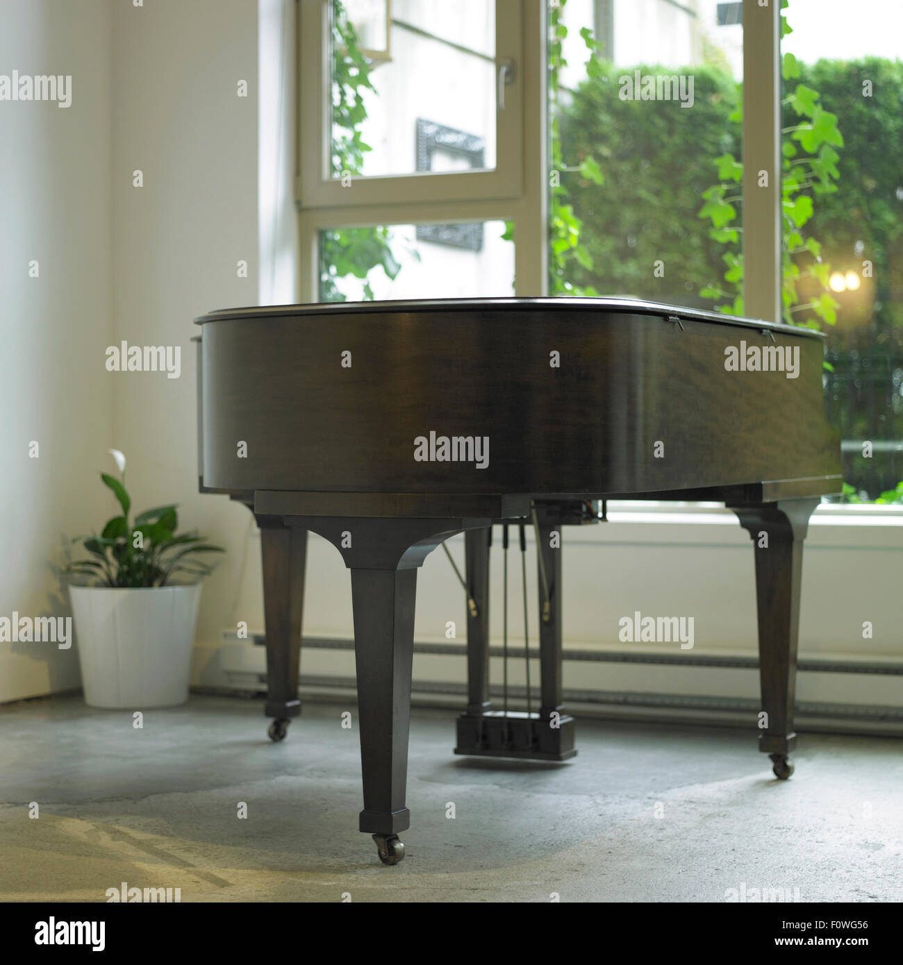 Green leaves grand piano hi-res stock photography and images - Alamy