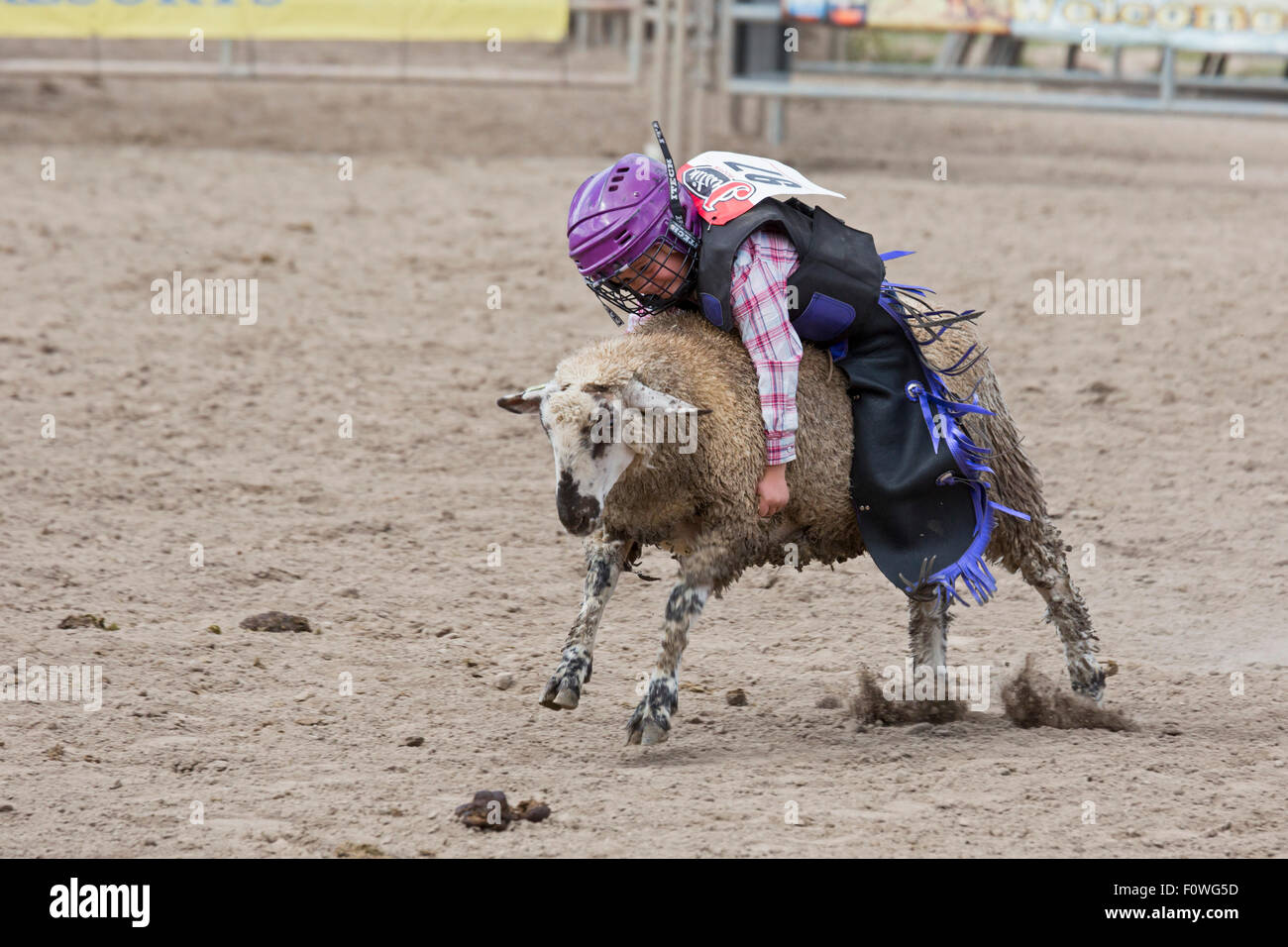 Kids riding sheep hi-res stock photography and images - Alamy