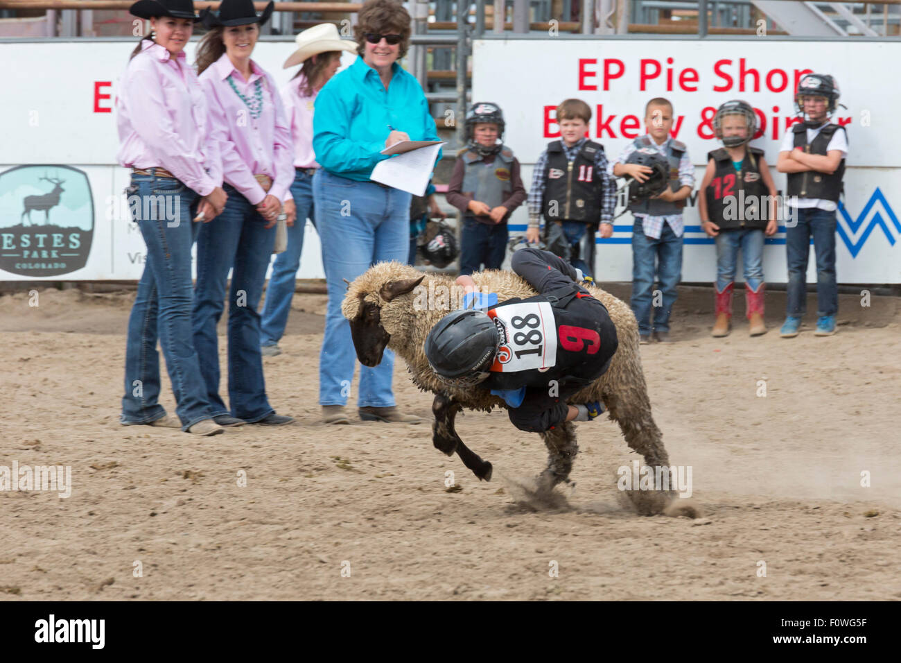 Estes Park, Colorado - Children ages 5-8 ride sheep during the Mutton ...
