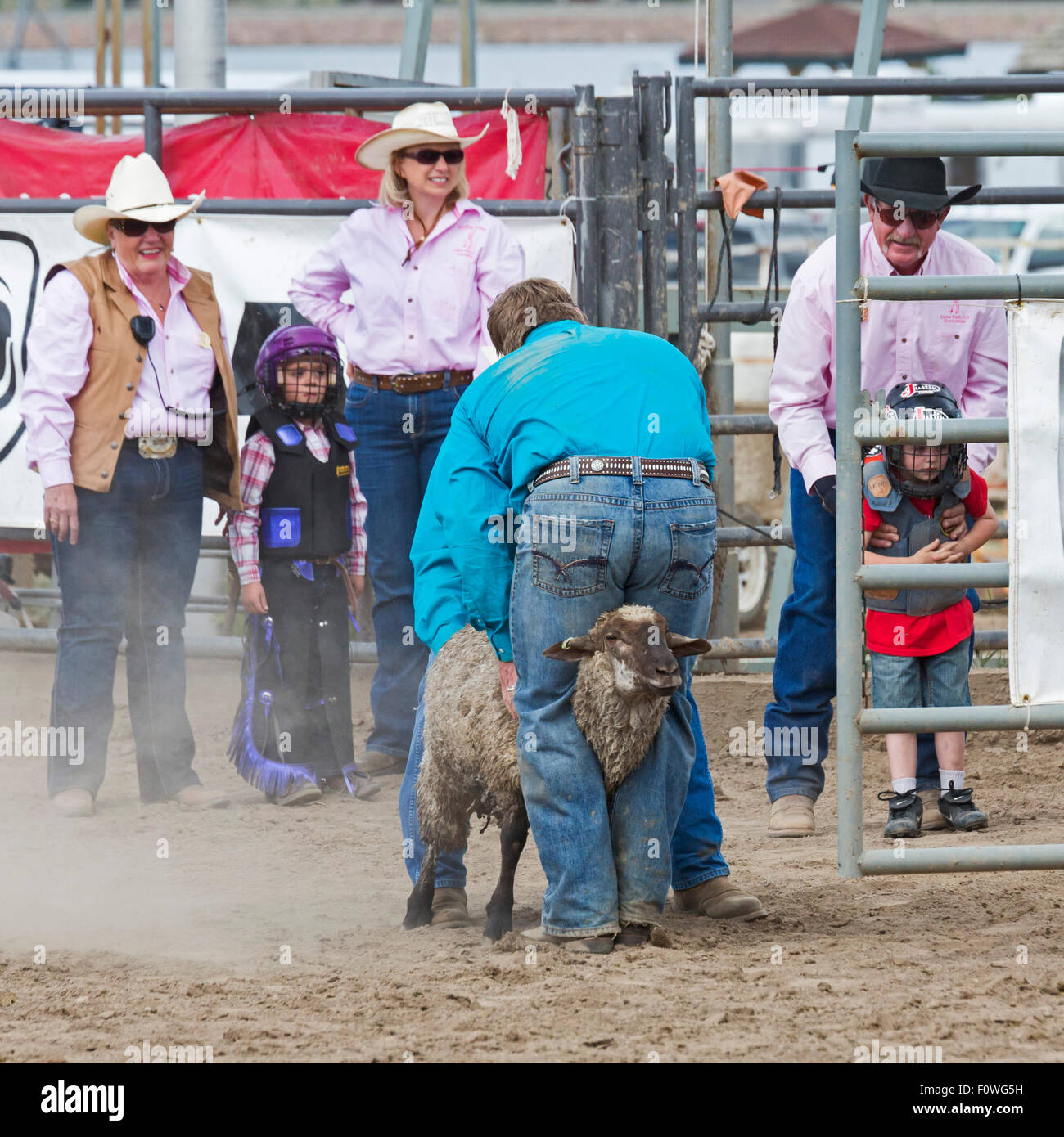 Rodeo mutton bustin hi-res stock photography and images - Alamy