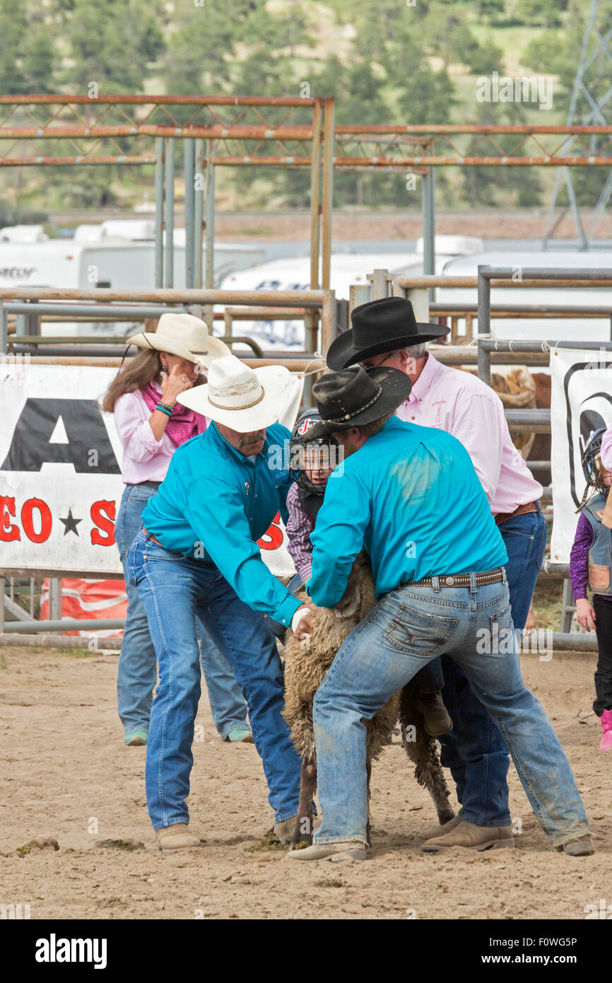 Kids riding sheep hi-res stock photography and images - Alamy