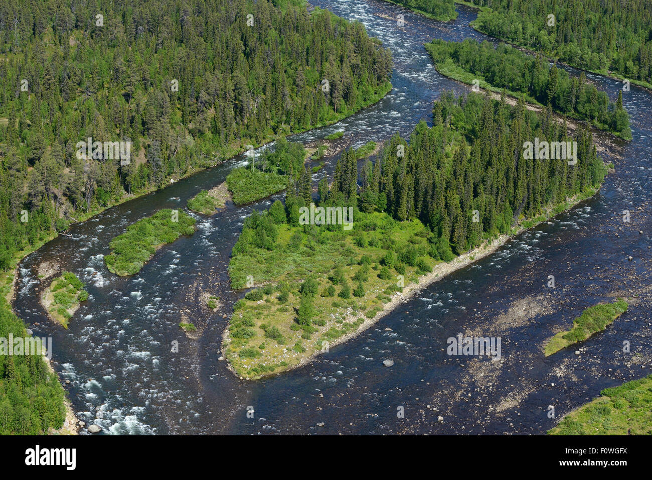 Aerial view of river flowing through taiga boreal forest, Sjaunja Bird ...