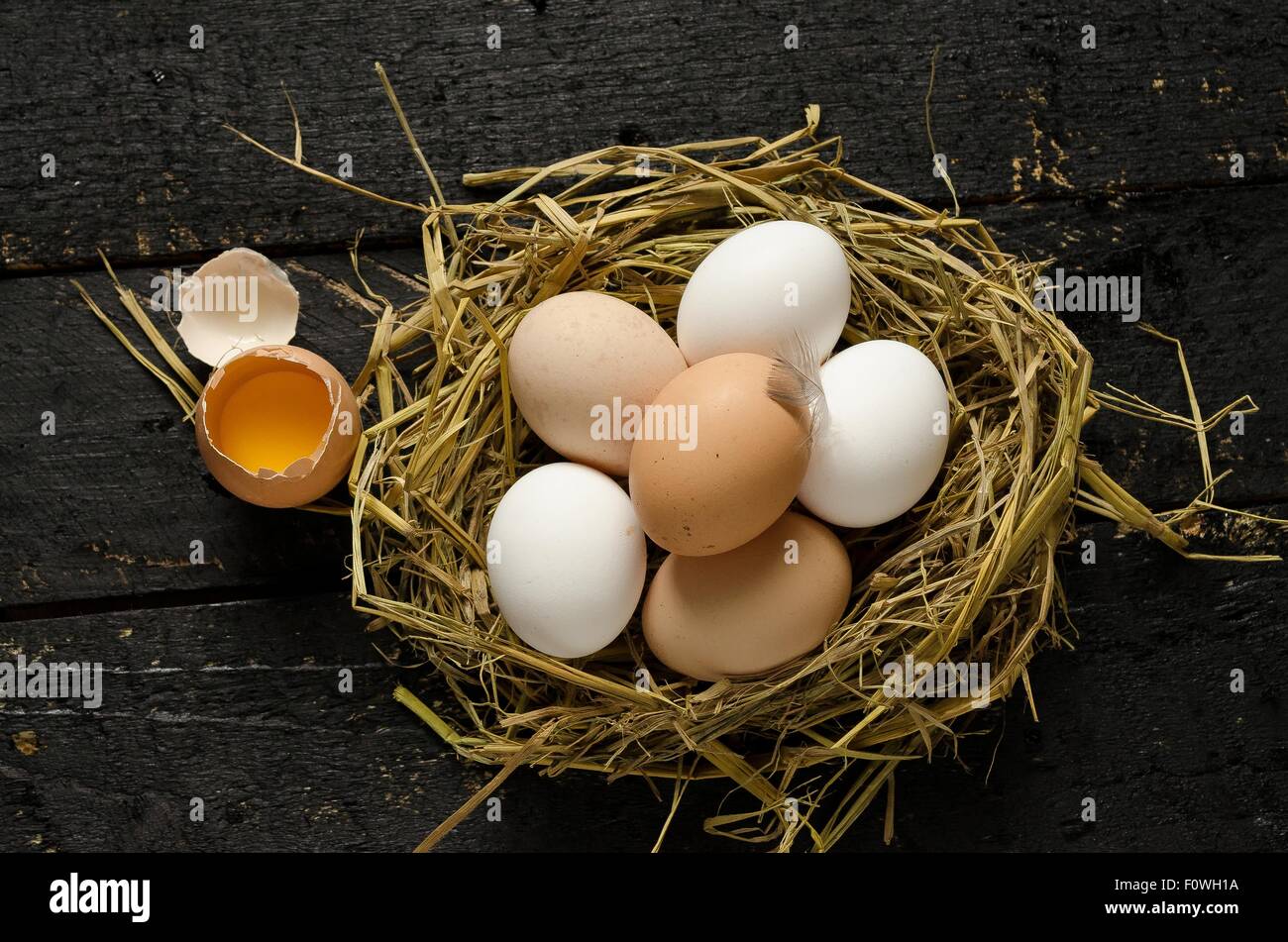 Eggs in a nest Stock Photo - Alamy