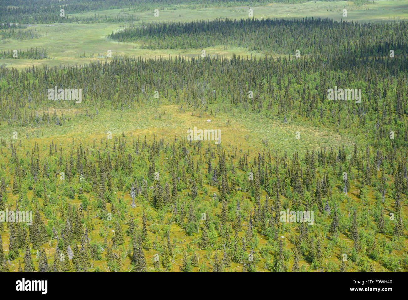 Aerial view peat bogs taiga hi-res stock photography and images - Alamy