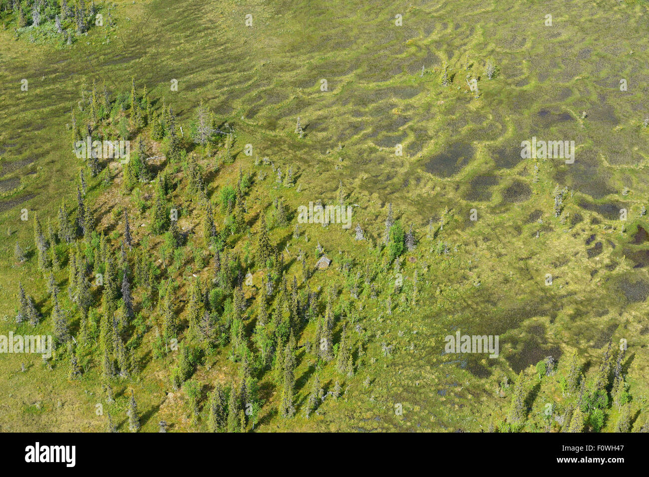 Aerial view peat bogs taiga hi-res stock photography and images - Alamy