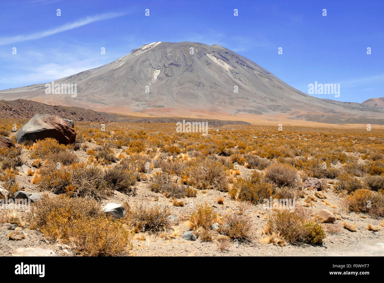 Volcanic landscape and high altitude desert in the Bolivian Altiplano ...