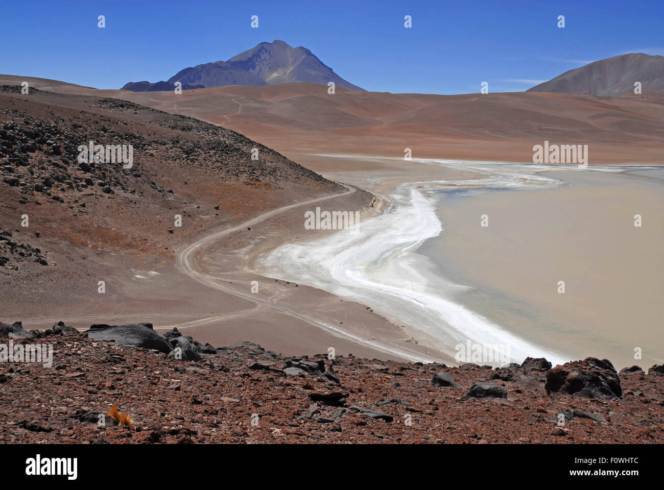 Volcanic landscape and high altitude desert in the Bolivian Altiplano ...