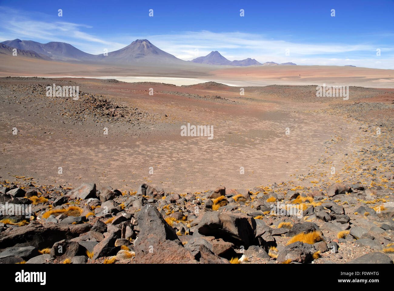 Volcanic landscape and high altitude desert in the Bolivian Altiplano ...