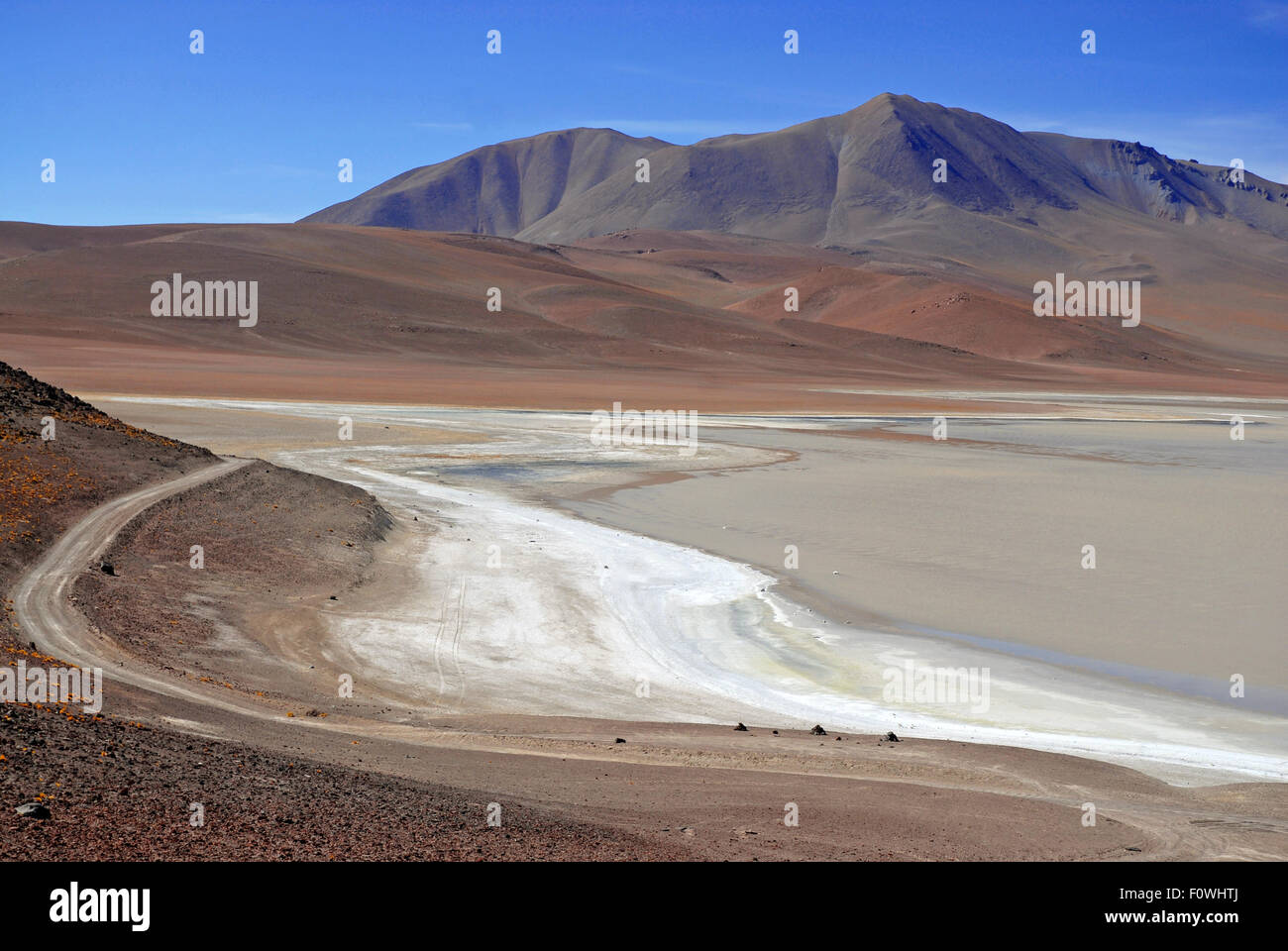 Volcanic landscape and high altitude desert in the Bolivian Altiplano ...