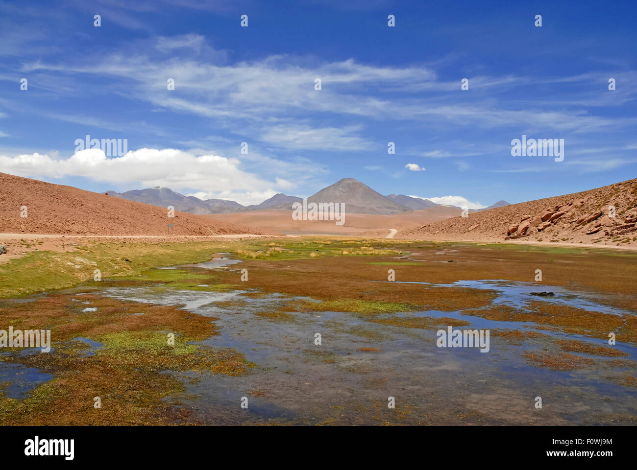 Volcanic landscape and high altitude desert in the Atacama Desert ...