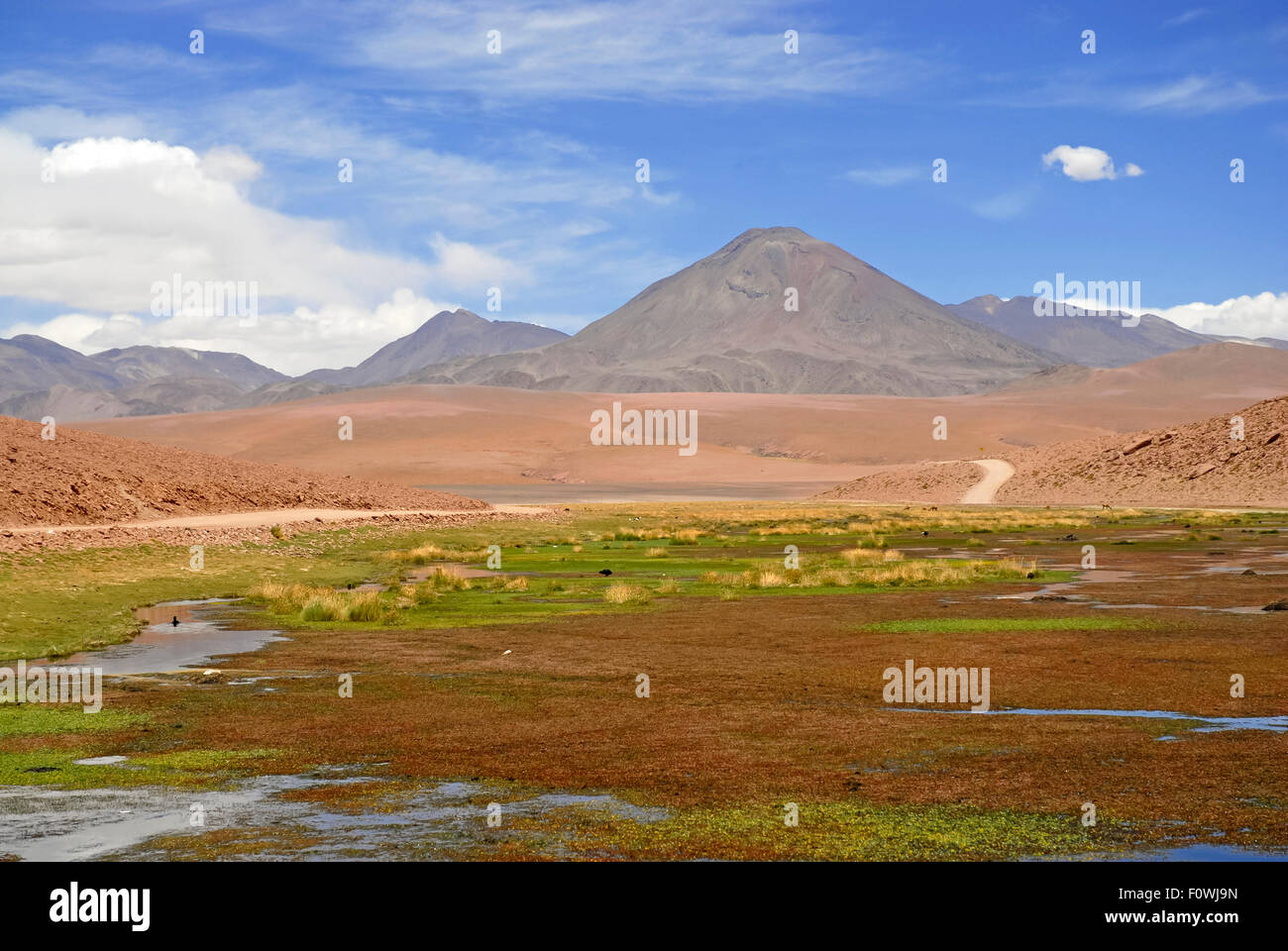 Volcanic landscape and high altitude desert in the Atacama Desert ...