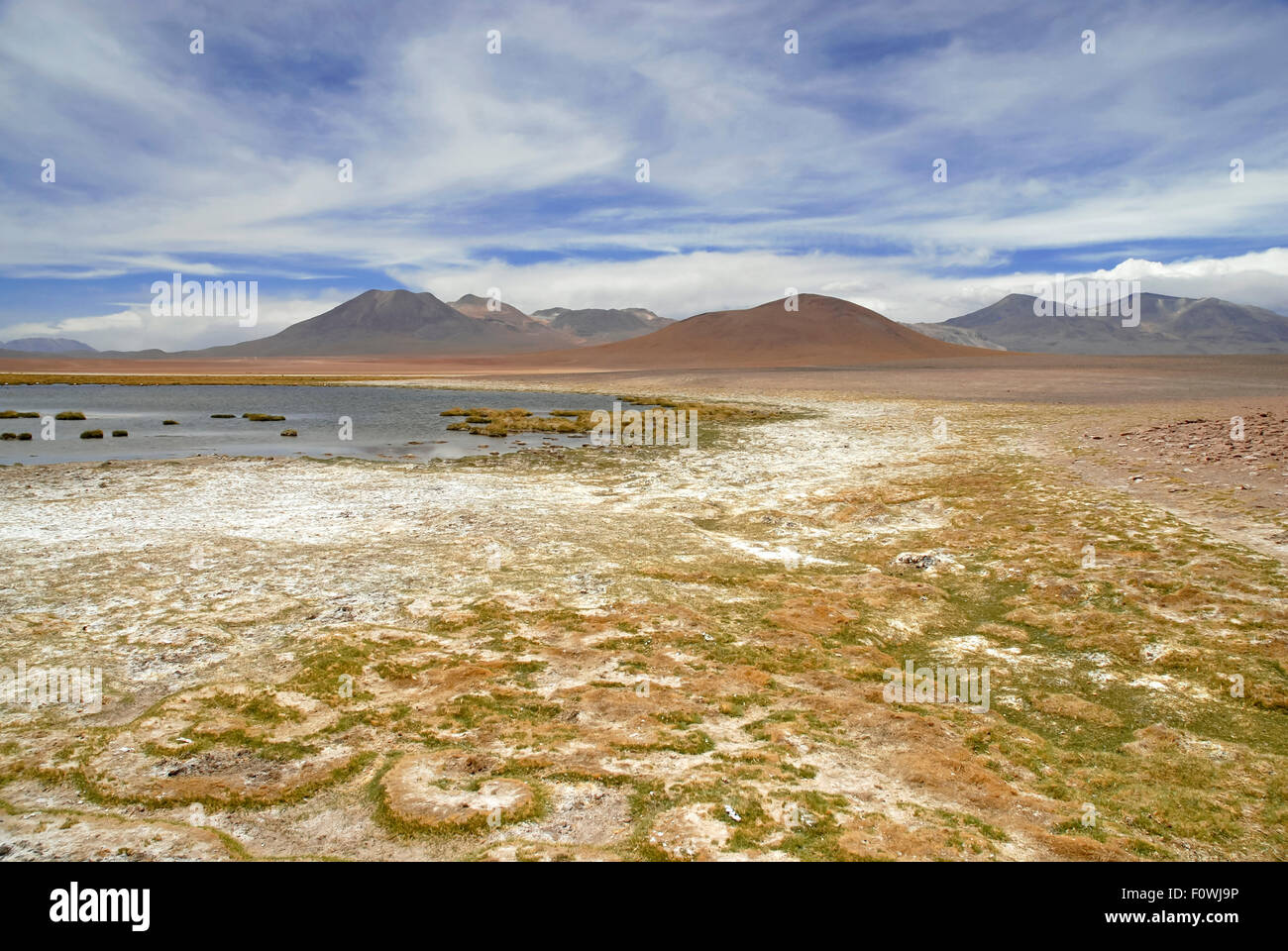 Volcanic landscape and high altitude desert in the Atacama Desert ...