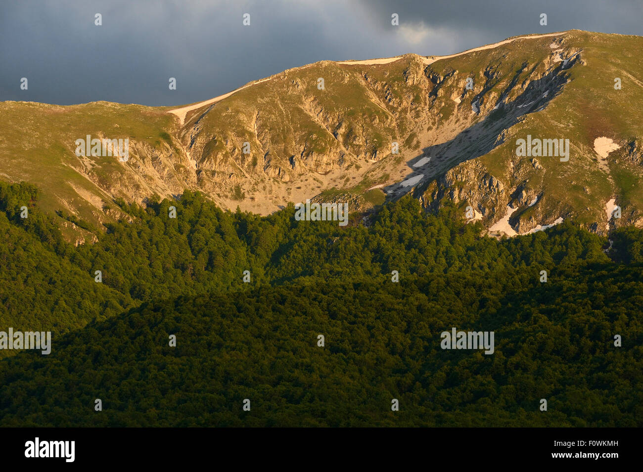 Forest and mountains in the Central Apennines rewilding area, National ...