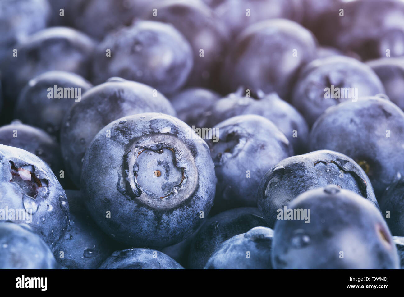 wet ripe blueberries for background Stock Photo - Alamy