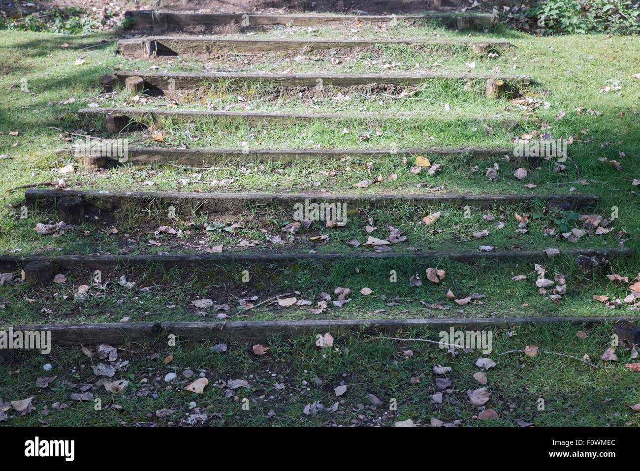 steps on the path of a forest Stock Photo - Alamy