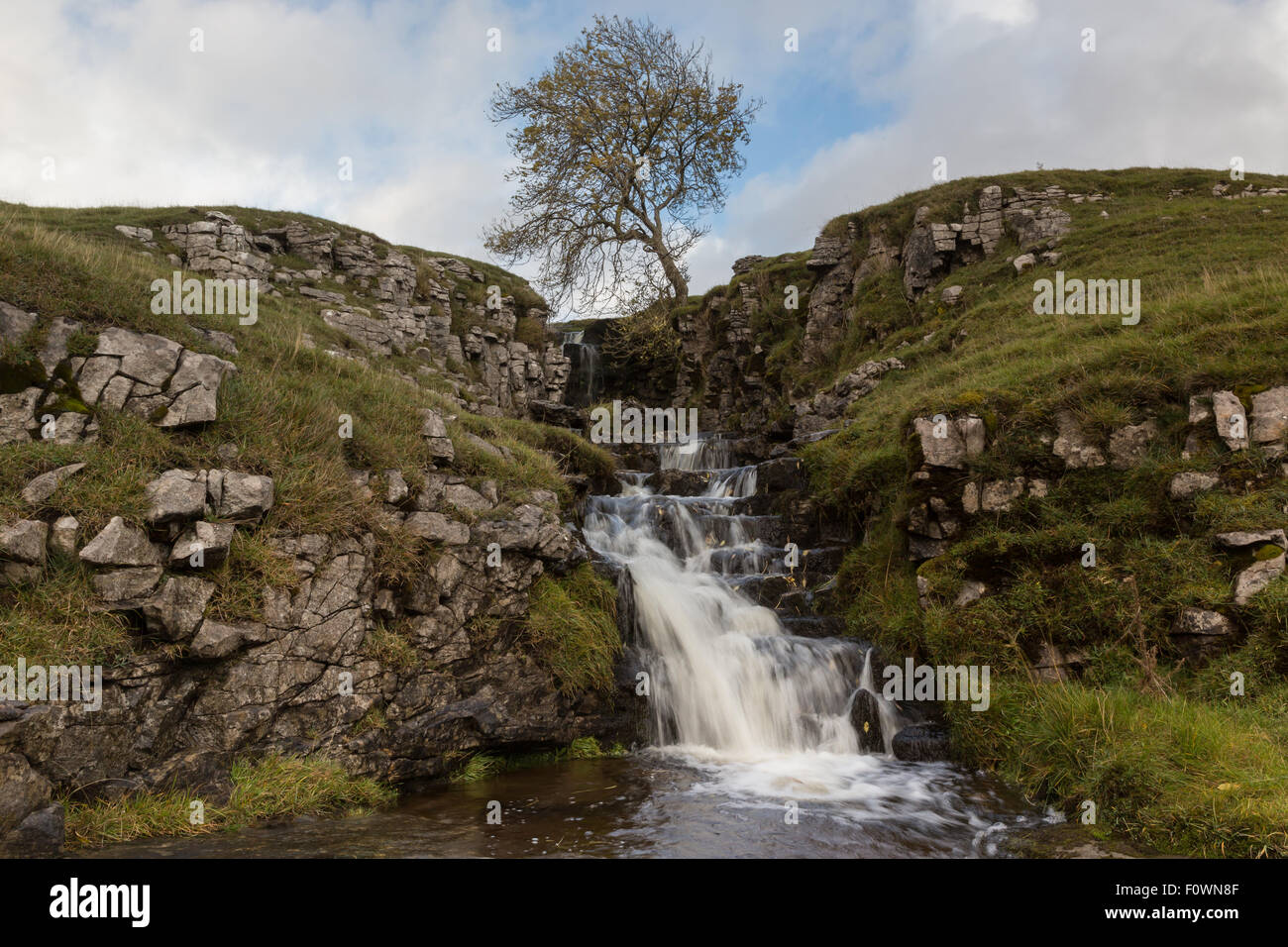 Swaledale tree and waterfalll hi-res stock photography and images - Alamy