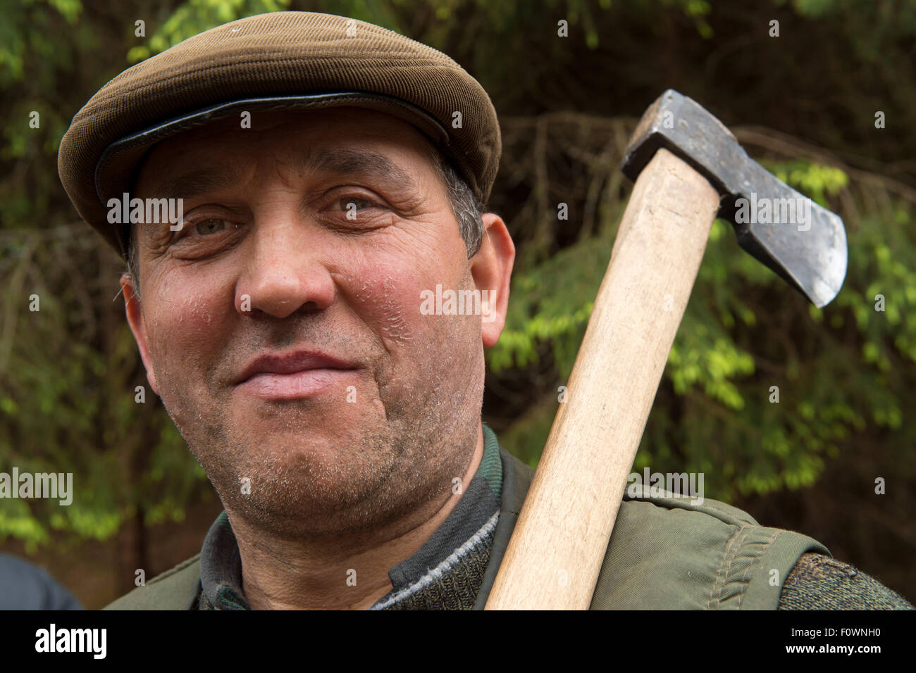 Local villager attending the release of European bison / Wisent (Bison ...