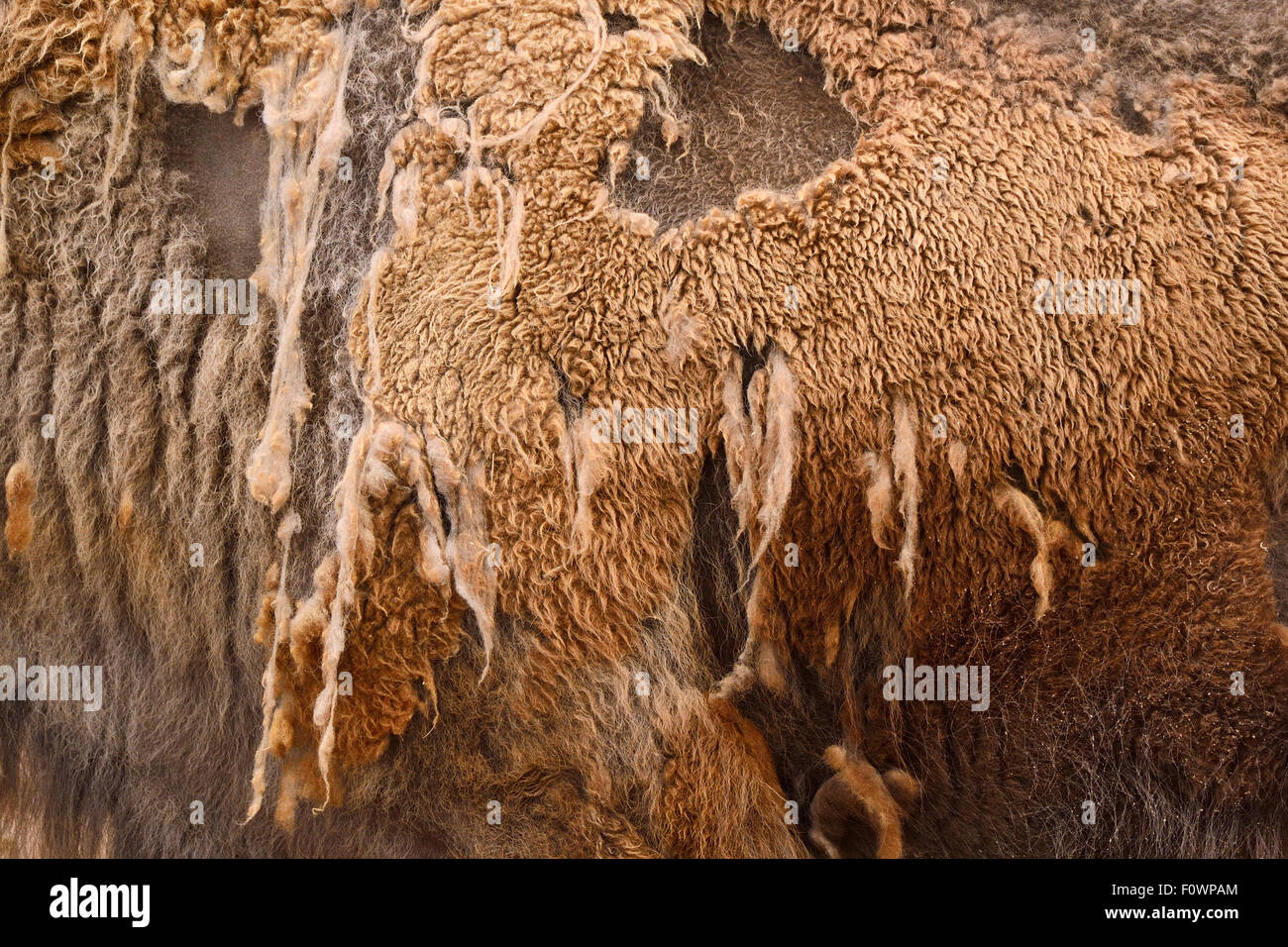 Thinner summer coat hi-res stock photography and images - Alamy